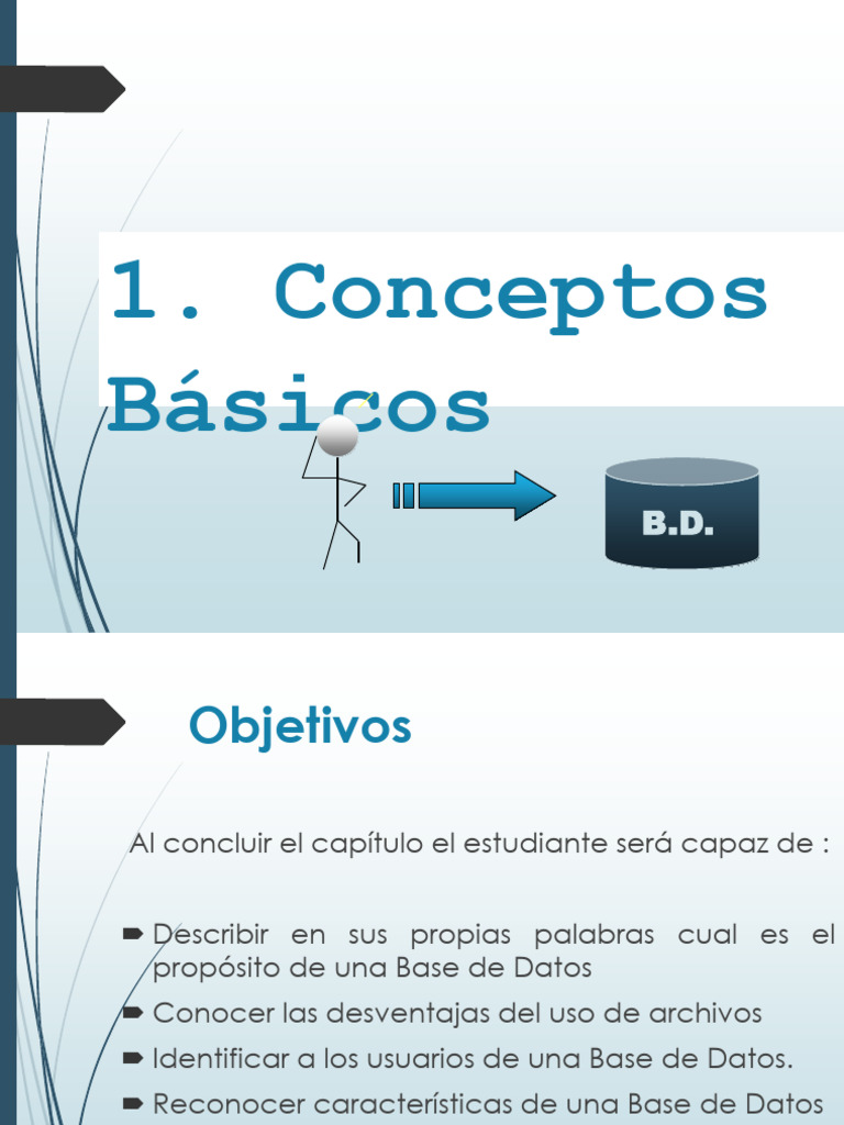 1 Conceptos Basicos BD | PDF