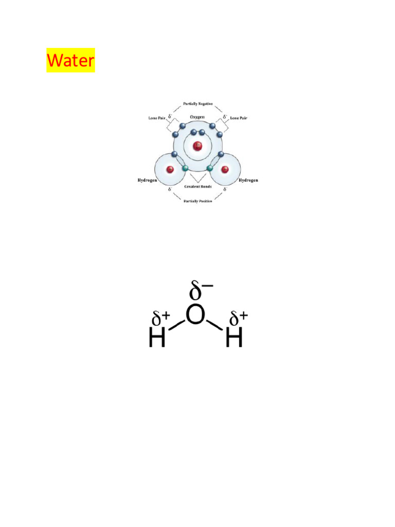 Diagrams For CAPE Biology Unit 1 | PDF