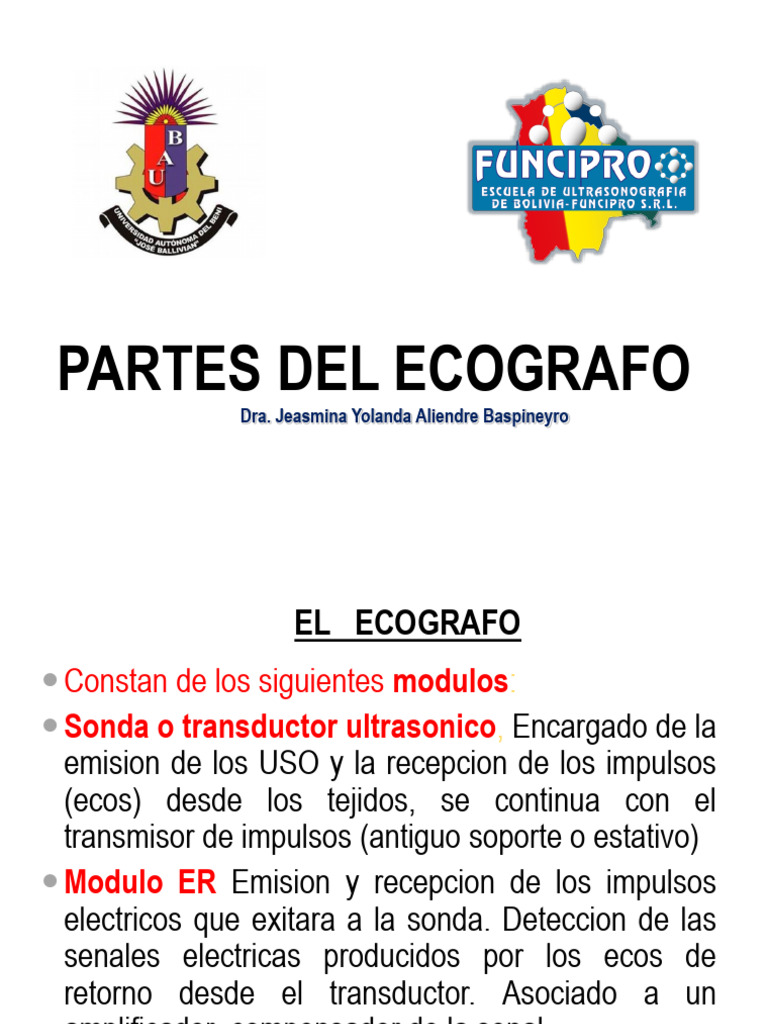 Partes Del Ecografo | PDF