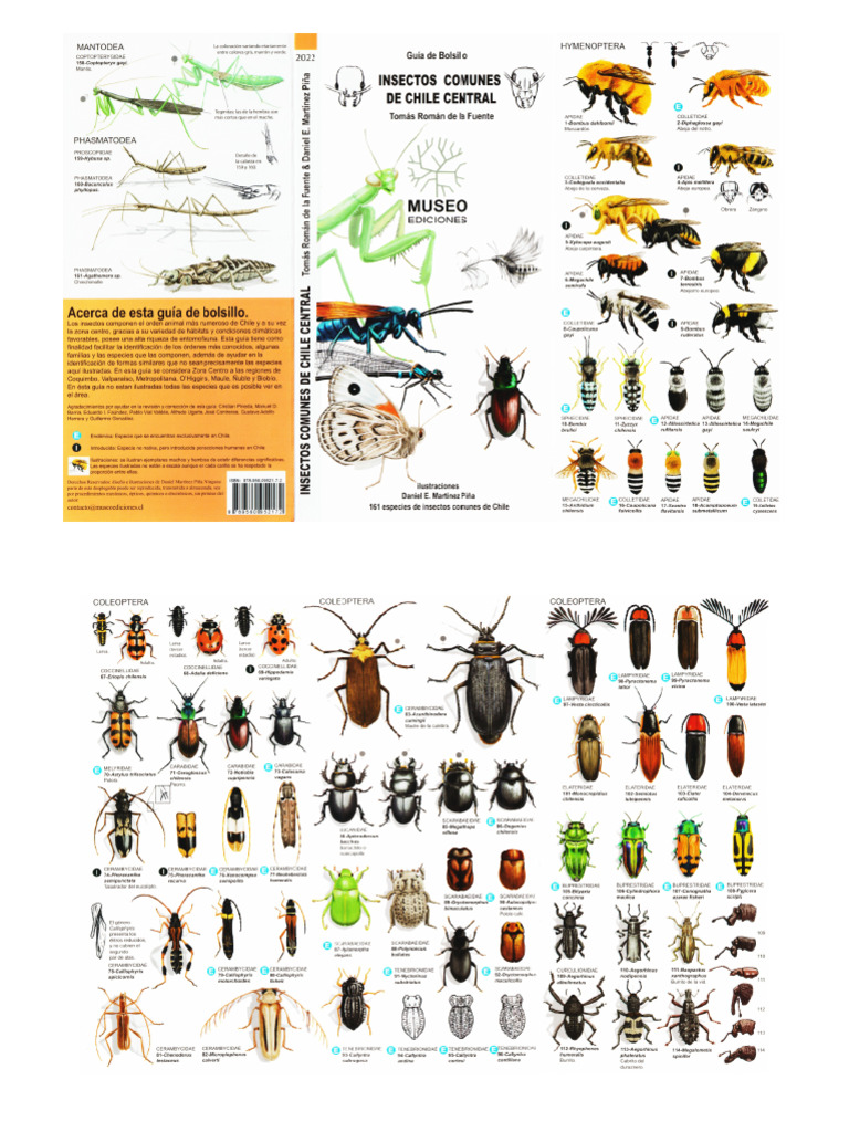 Insectario Fruti 2 | PDF