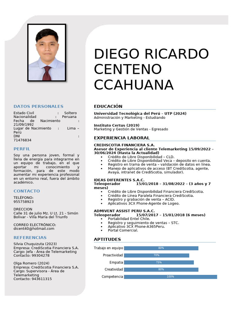 CV Actualizado Diego Centeno Ccahuana 40 | PDF