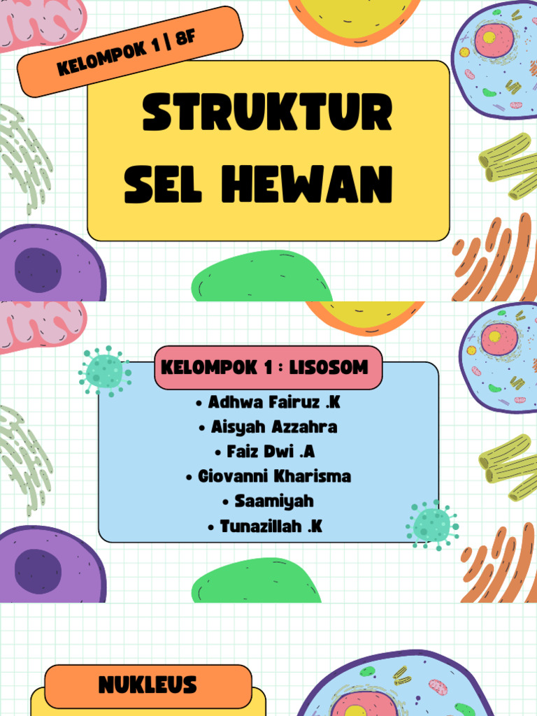 Animal Cell Structure Biology Presentation in An Orange Yellow Blue ...
