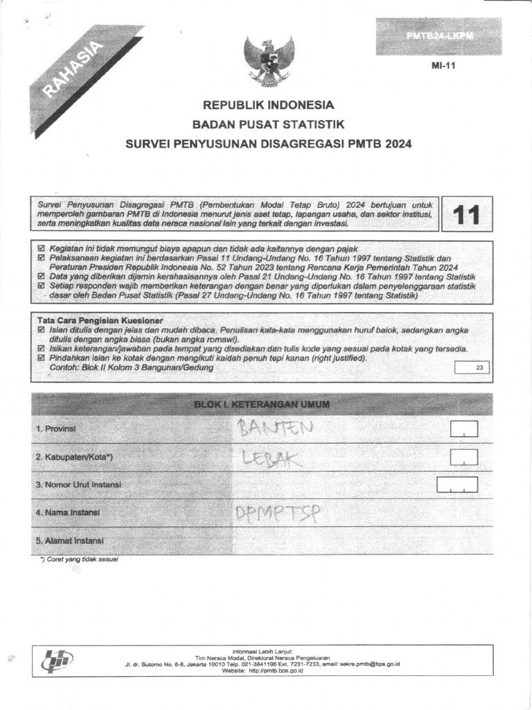 Survey Penyusunan Disagregasi PMTB 2024001 | PDF