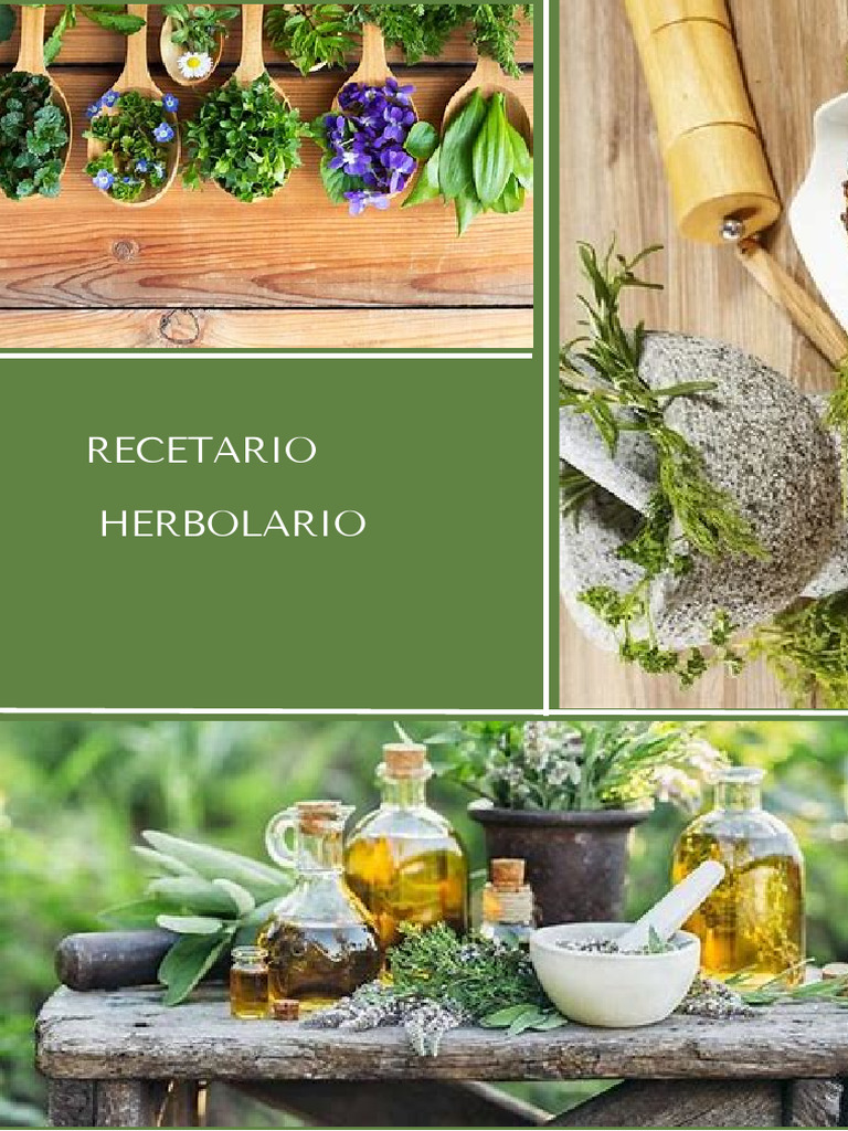 Recetario Herbolario | PDF | Té