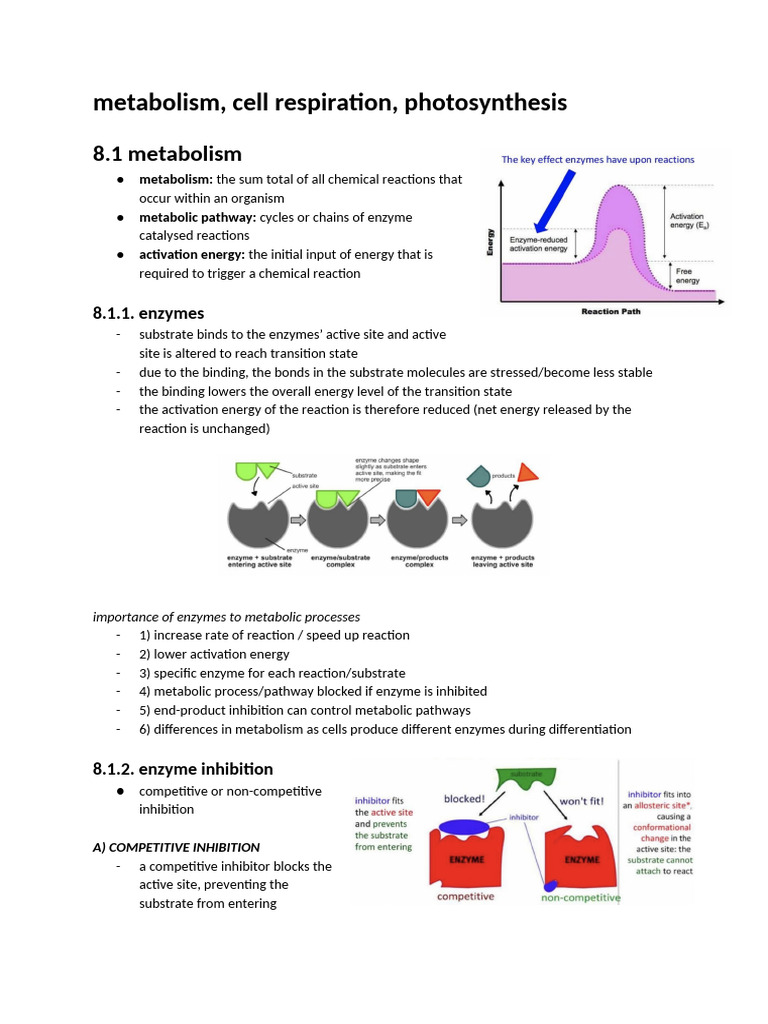 8 + 2.8 + 2.9 - Metabolism, Cell Respiration and Photosynthesis | PDF