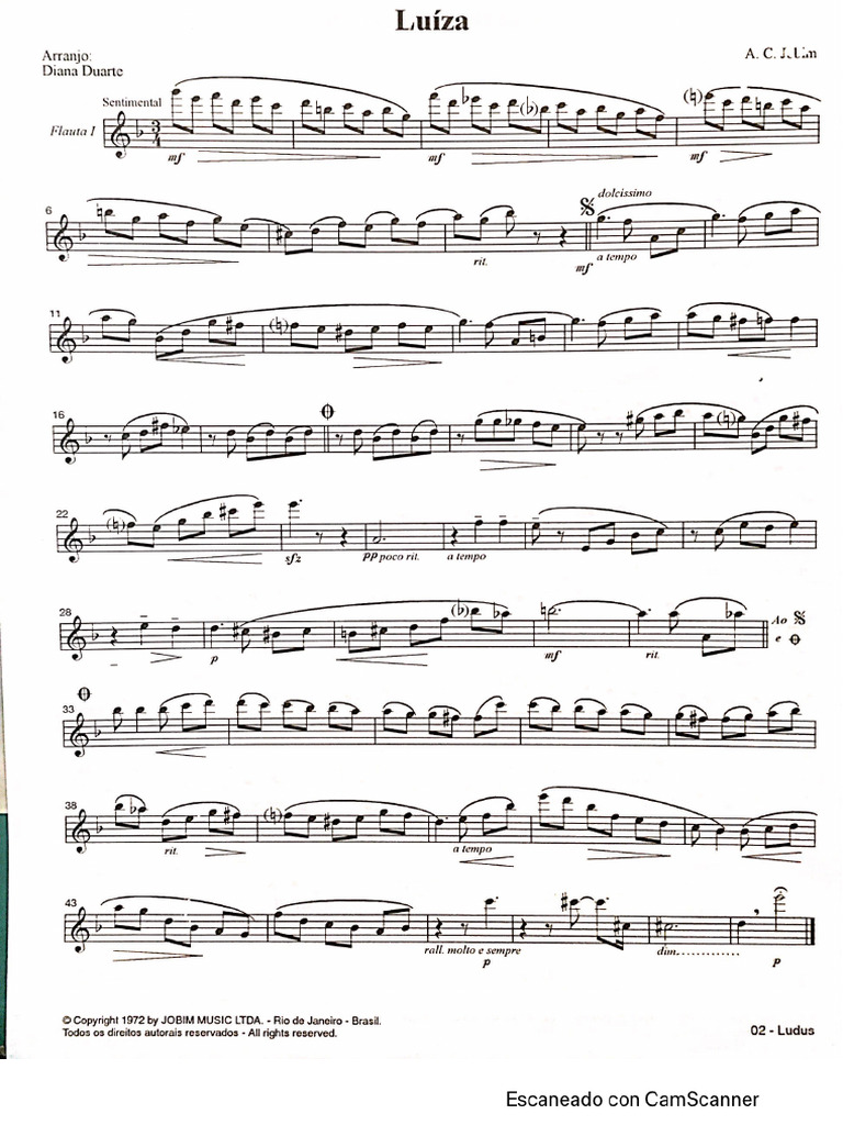 Luiza | PDF