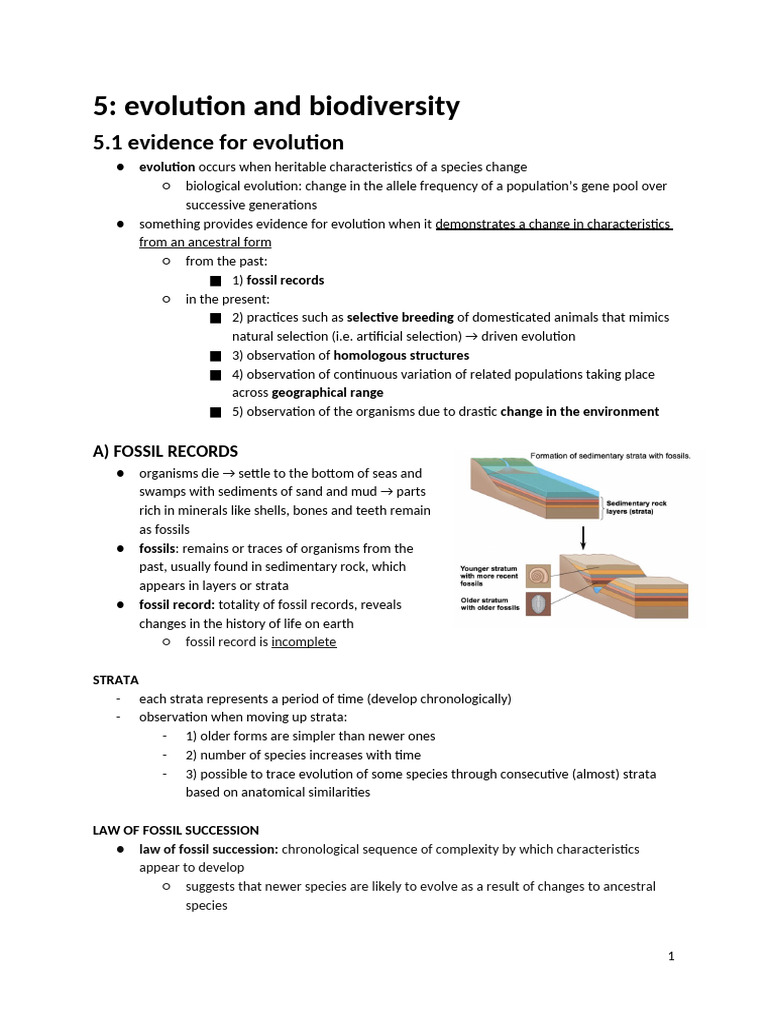 5 - Evolution and Biodiversity | PDF