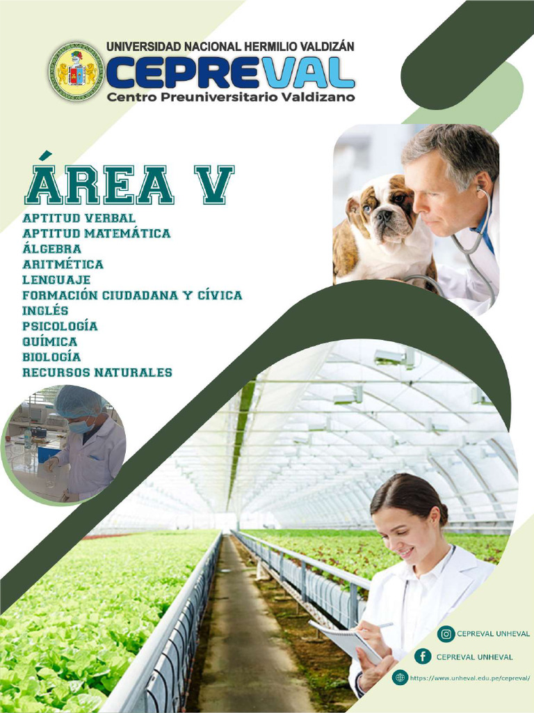 Complemento Area V | PDF