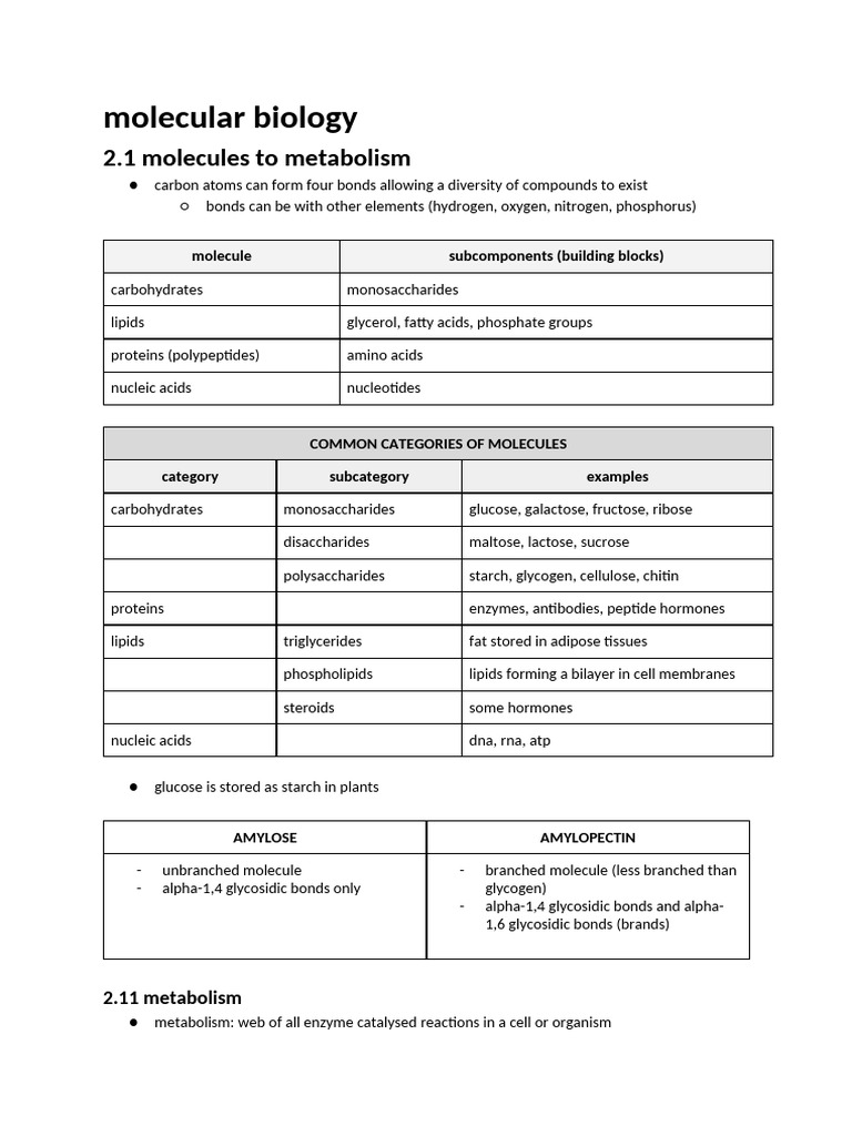 2 - Molecular Biology (2.1-2.5) | PDF