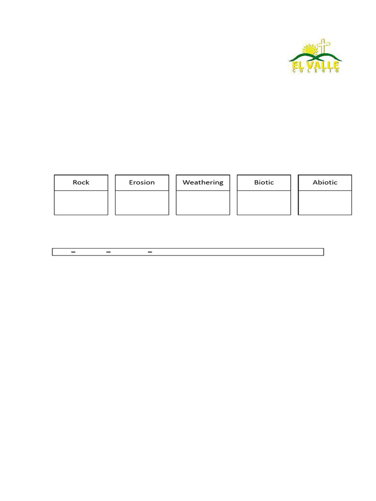 STEAM Worksheet Fourth Unit 2024 | PDF