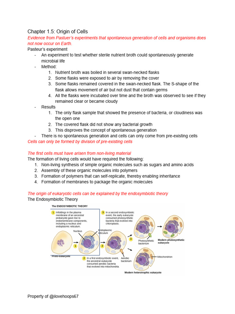 Chapter 1.5: Origin of Cells | PDF
