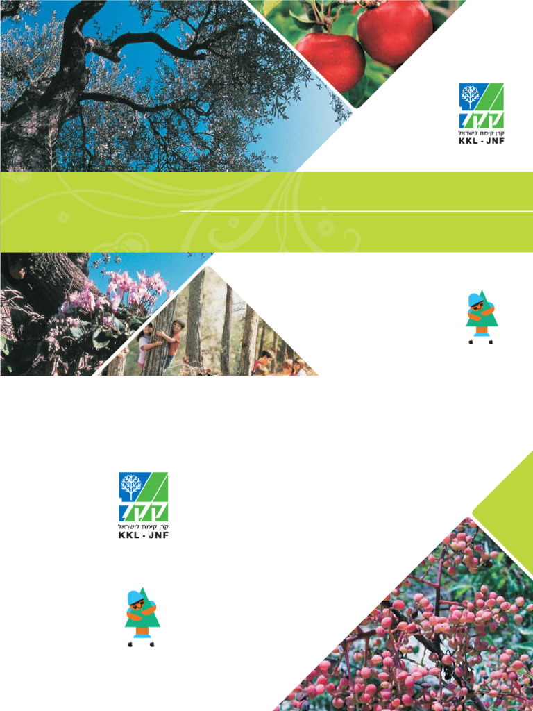 Trees of Israel English | PDF