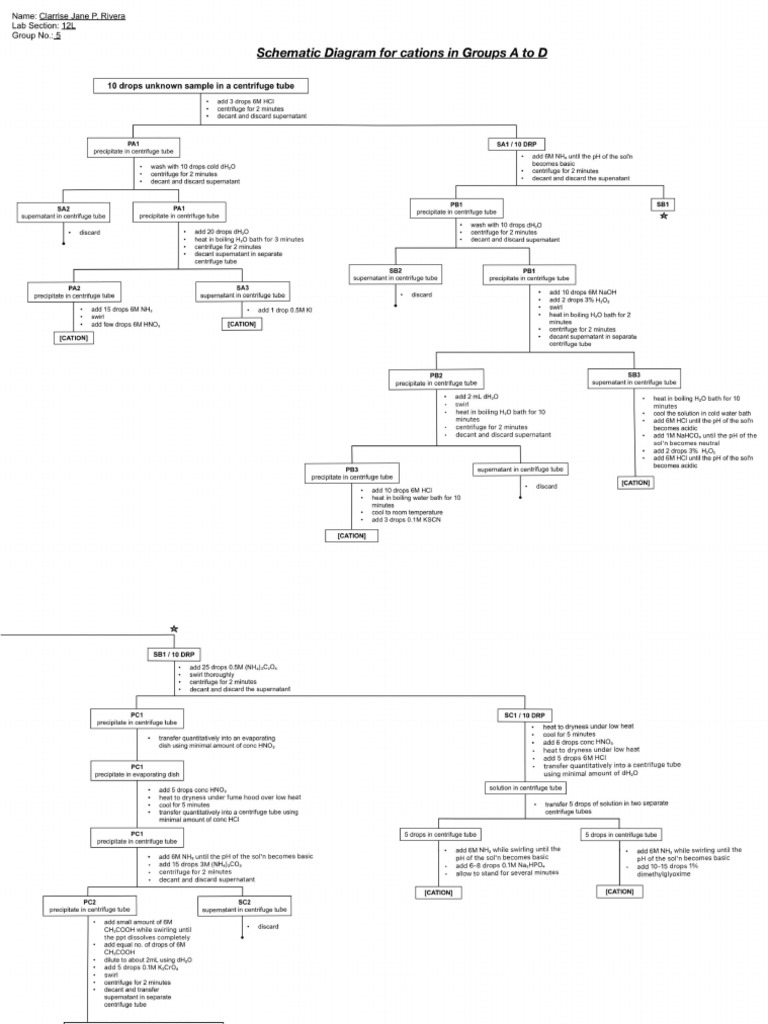 Final Schematic Diagrams 2 | PDF