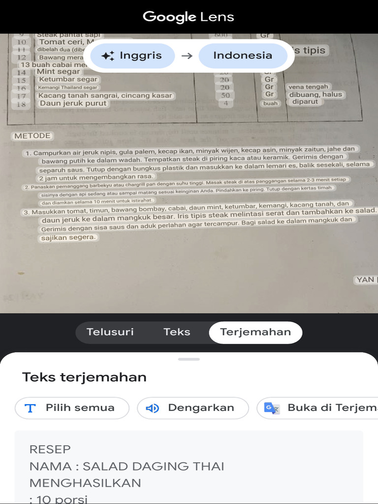 Google Lens | PDF