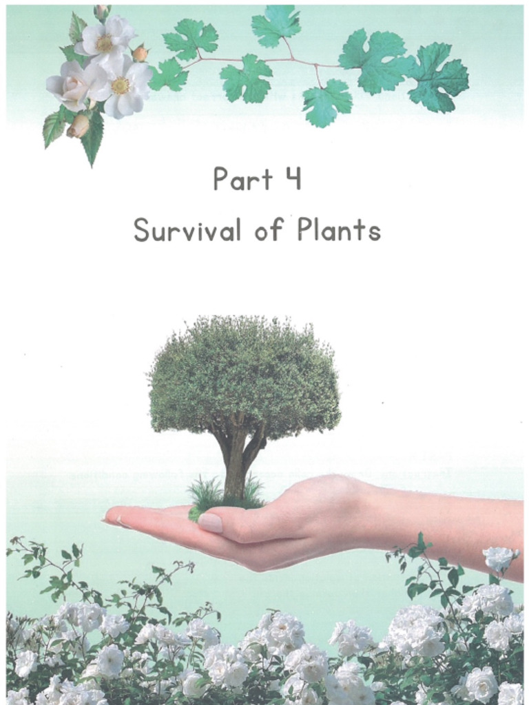 Part 4 Survival of Plant | PDF