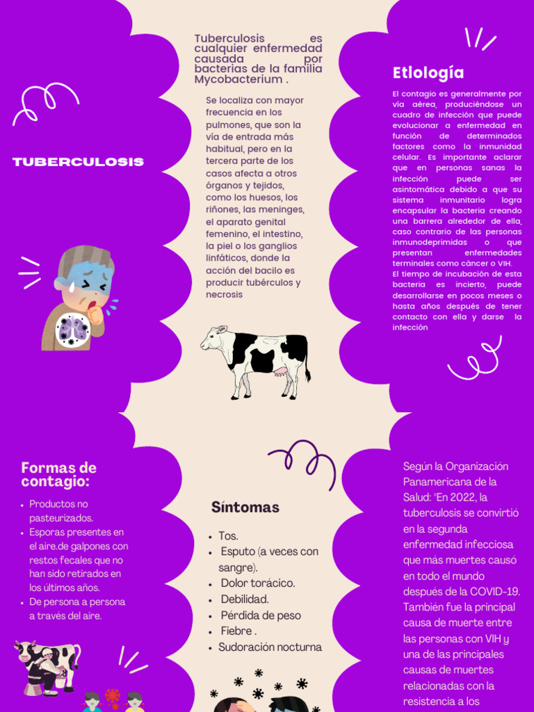 Triptico TUBERCULOSIS | PDF