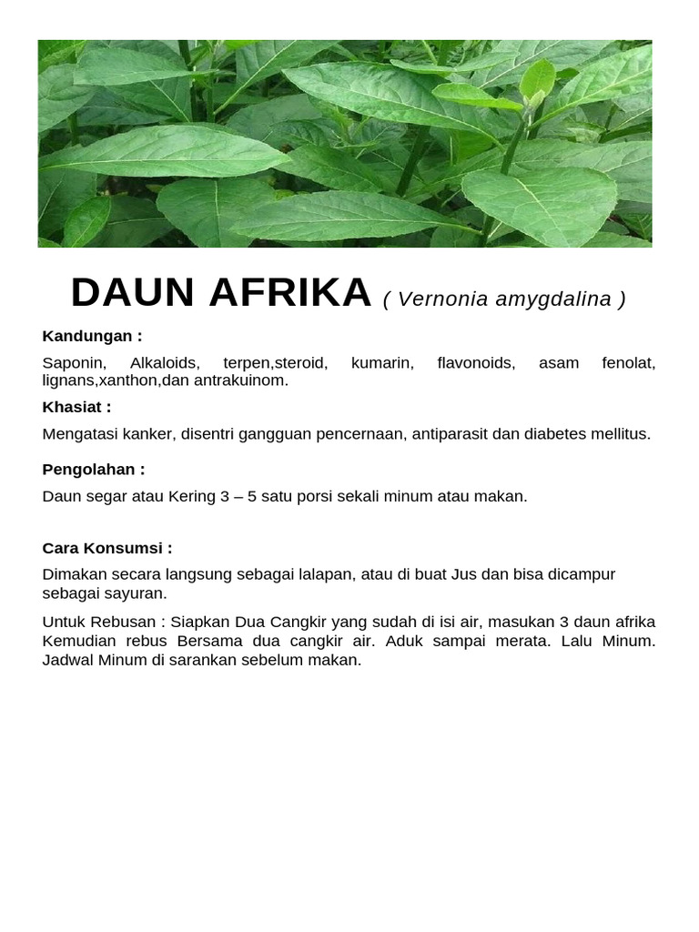 Nama Daun Daun Di INdonesia | PDF