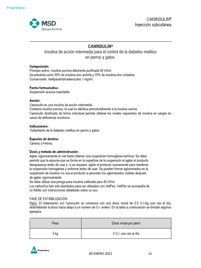 Caninsulin 1 | PDF