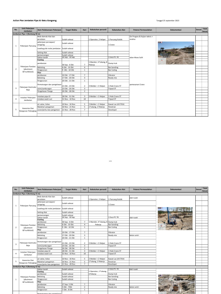 Action Plan | PDF