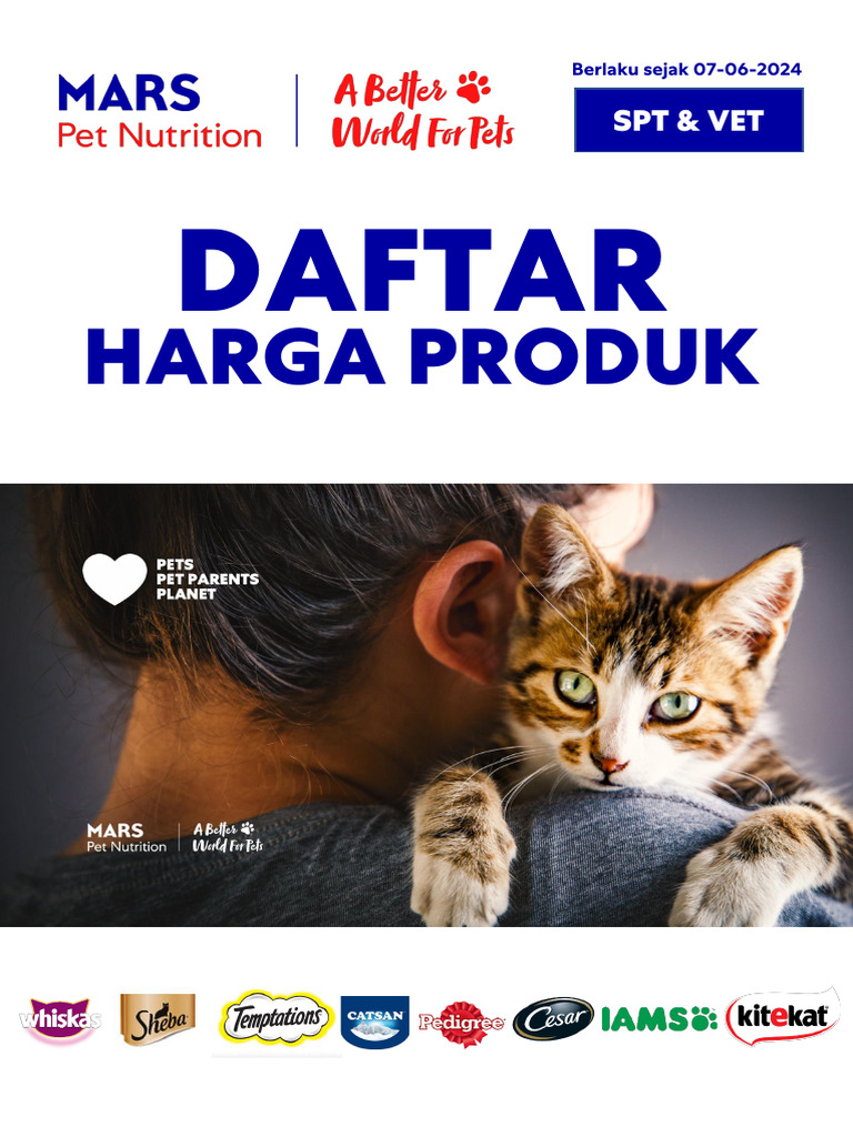 Price List Design 2024 P6 | PDF