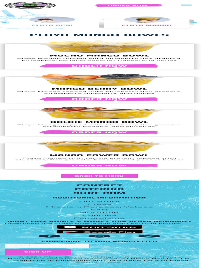 Bowl Playa Bowls | PDF