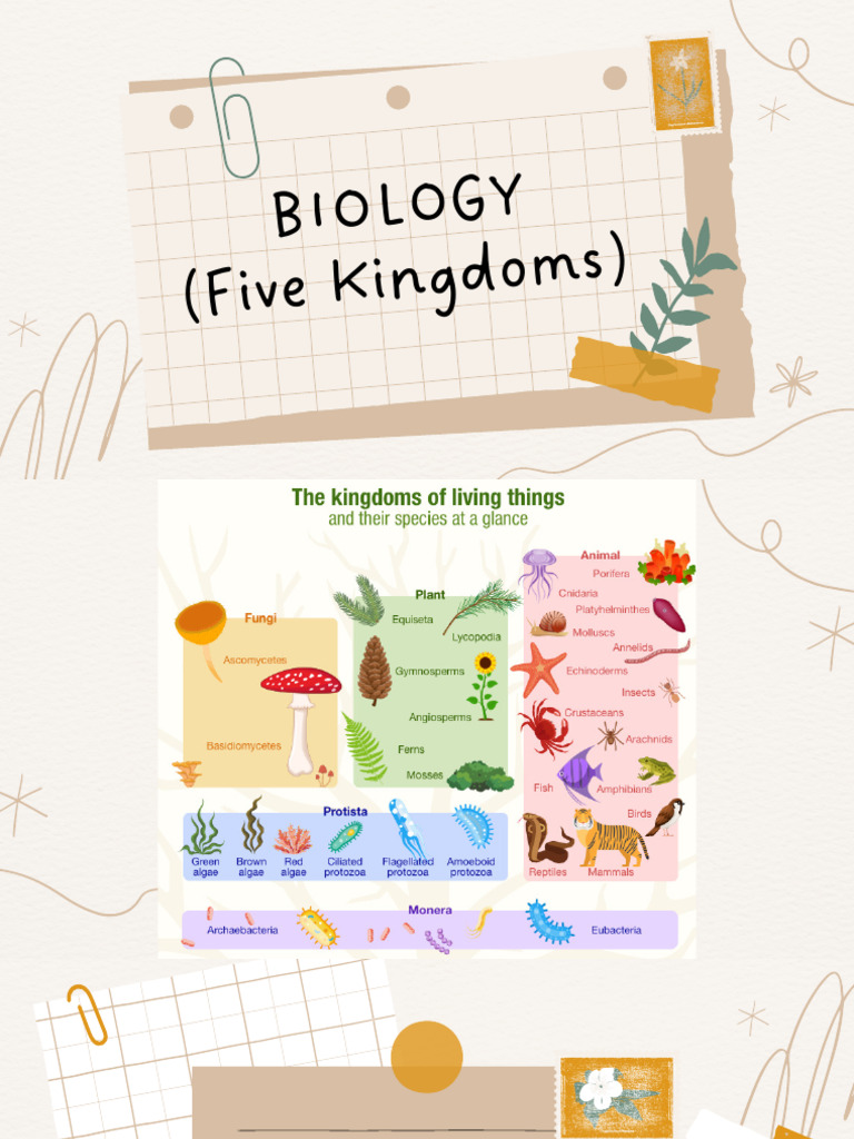 5 Kingdoms (7F) | PDF