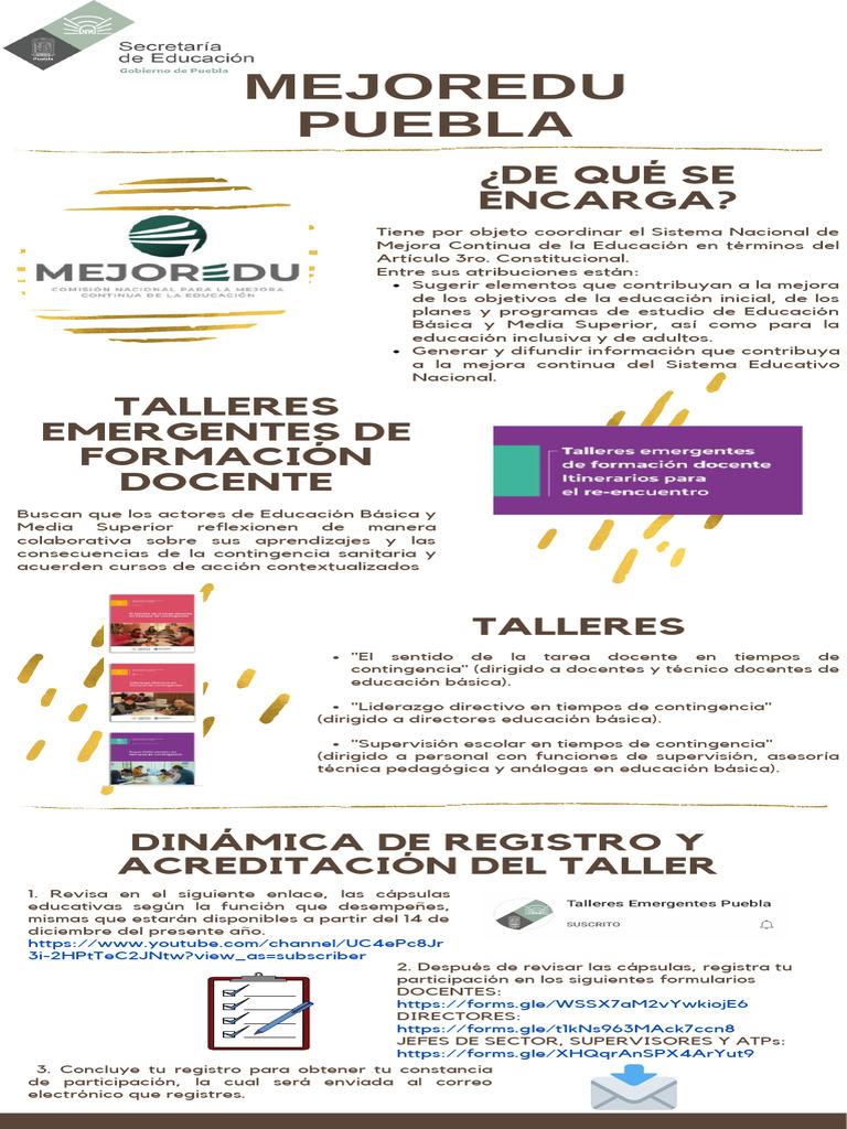 Infografía MEJOREDU | PDF