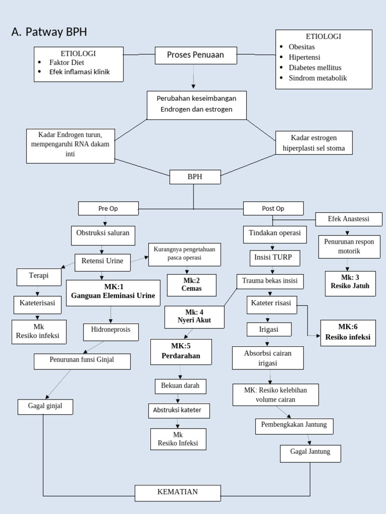 Patway Keperawatan Post Operasi TURP | PDF