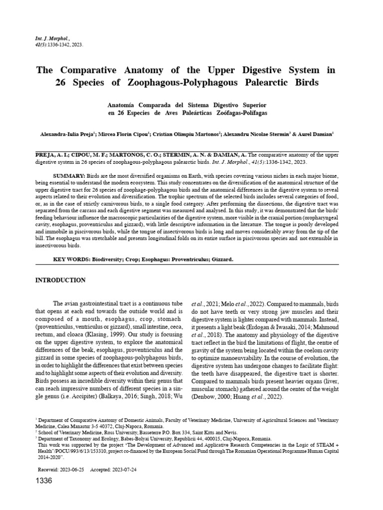 The Comparative Anatomy of The Upper Digestive System in | PDF