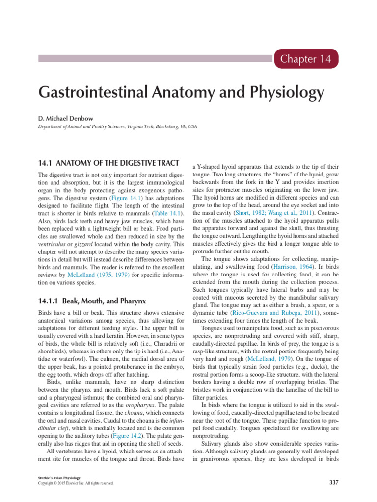 Gastrointestinal Anatomy And Physiology Pdf