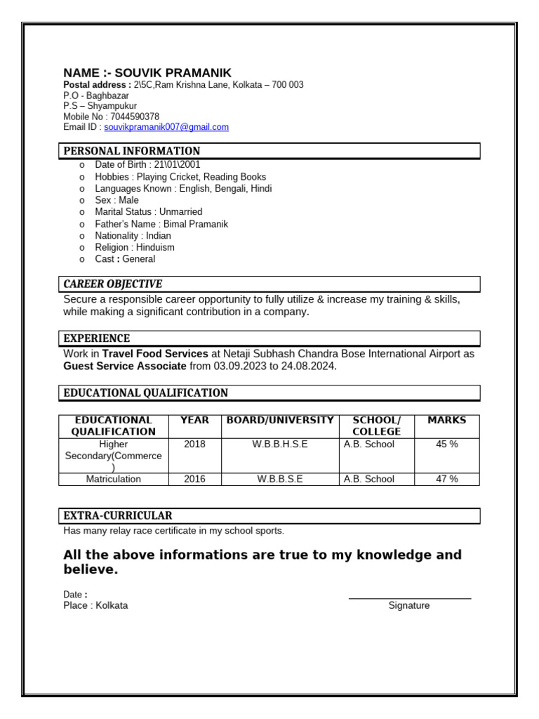Souvik Pramanic CV | PDF
