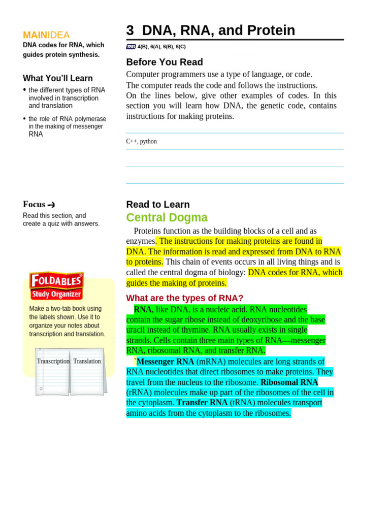 READING ESSENTIALS Chap 12 DNA RNA and Protein | PDF | Rna ...