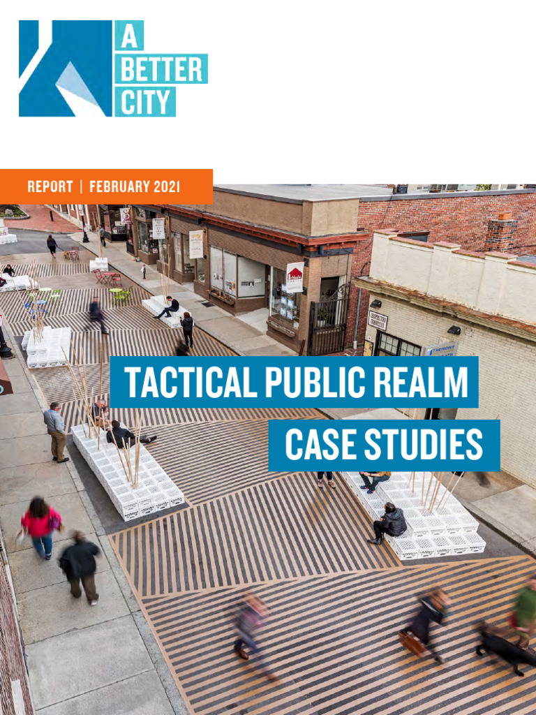 Public Realm Case studies | PDF