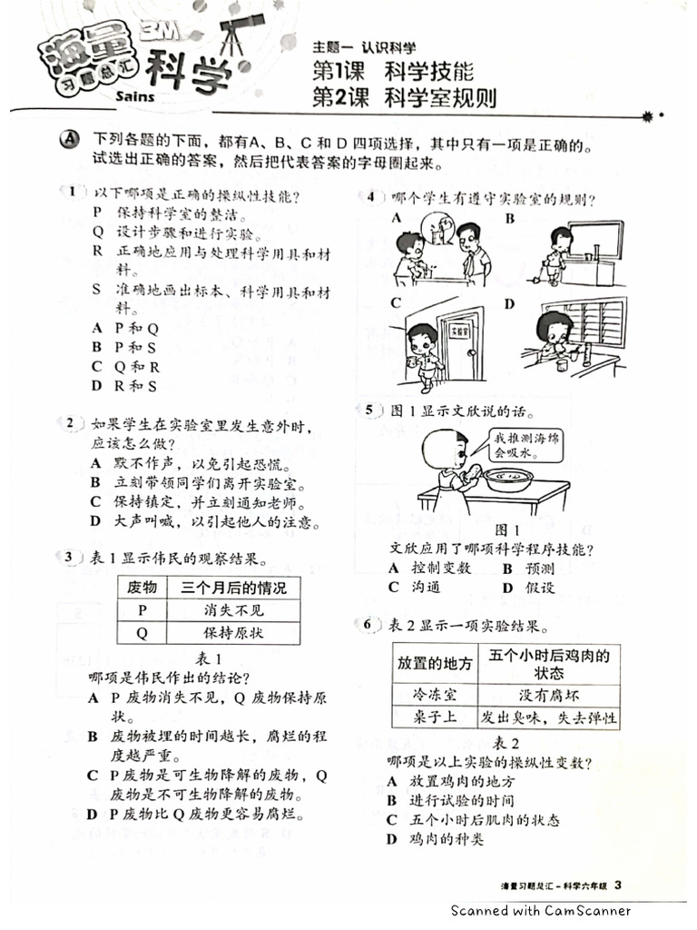 std 6 science set 1（微生物）- 2021 | PDF