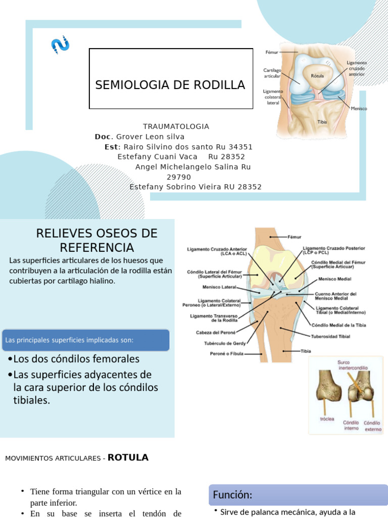 Semiologia de Rodilla Expo | PDF