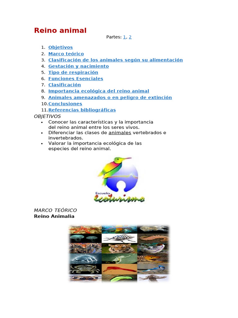 Conclusiones sobre el Reino Animal | PDF | Organismos | Biología Celular)