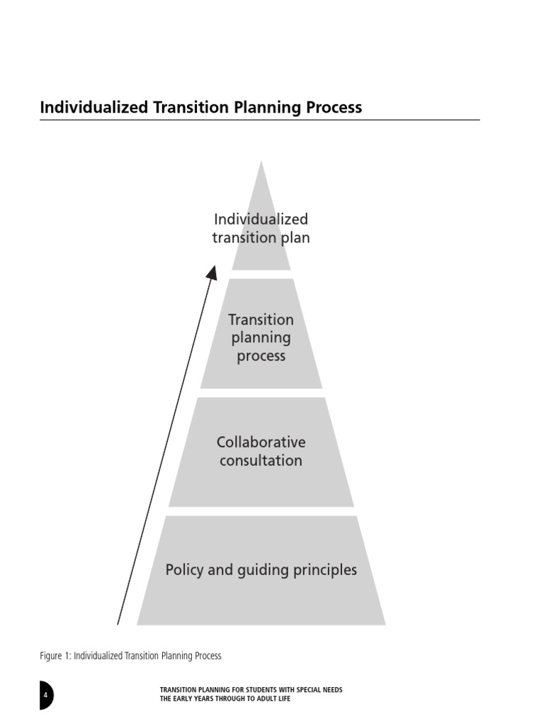 Transition Planning Web | PDF