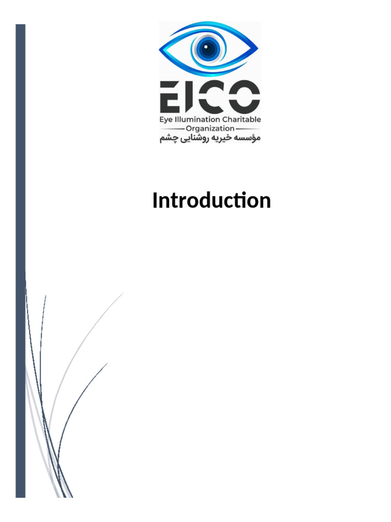 Introduction of EICO | PDF