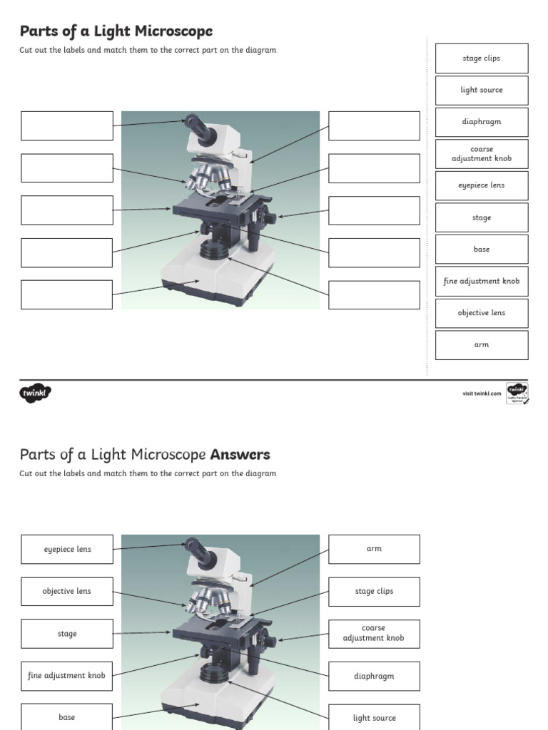 us-s-16-parts-of-a-microscope-cut-and-paste-activity_ver_3 | PDF