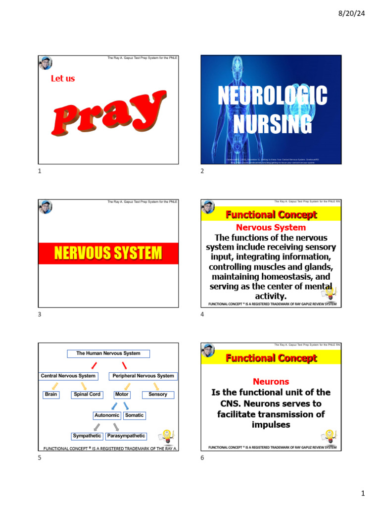 Neuro Nle Handouts | PDF