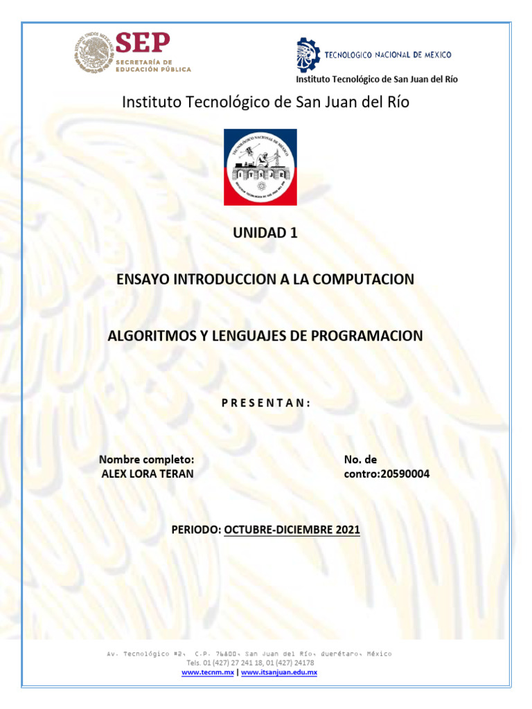 Ensayo Introduccion A La Computacion | PDF
