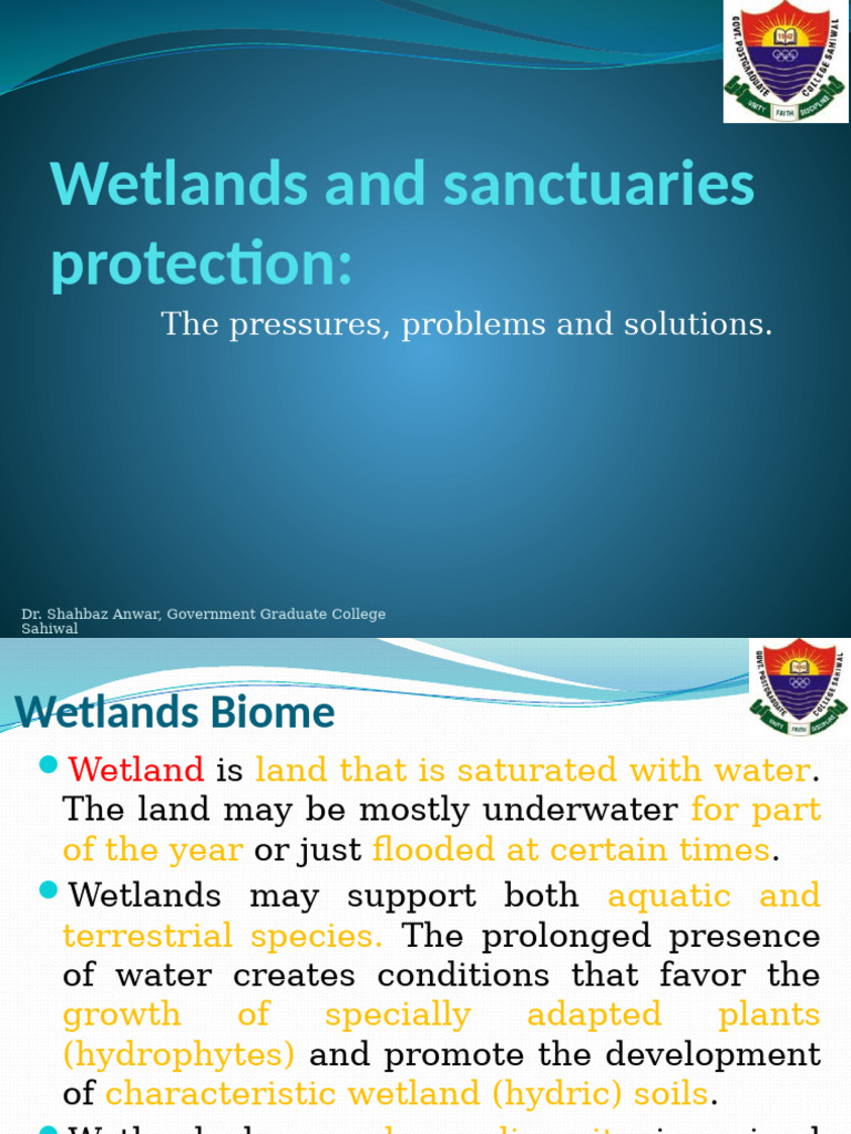 Wetland Protection and Biodiversity Issues | PDF | Swamp | Wetland