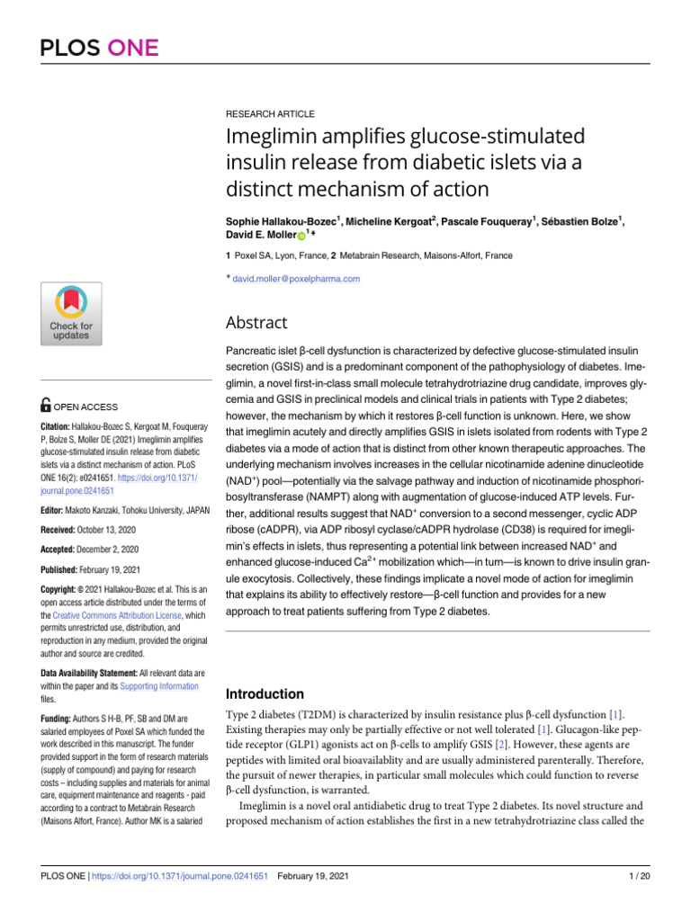 6 Imeglimin Amplifies Glucose-Stimulated Insulin Release From Diabetic ...