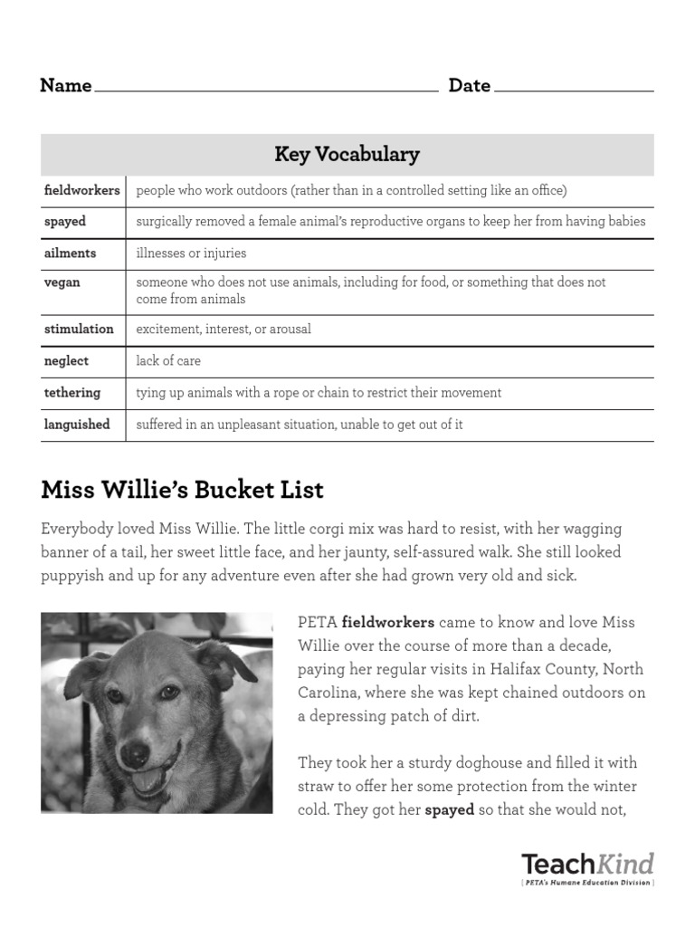 Miss Willie Rescue Reading Comprehension Sheet - r3 - 300 | PDF