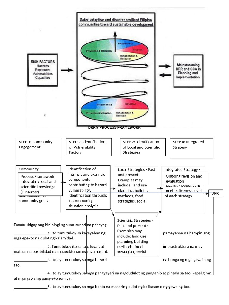 DRRM Process Framework | PDF