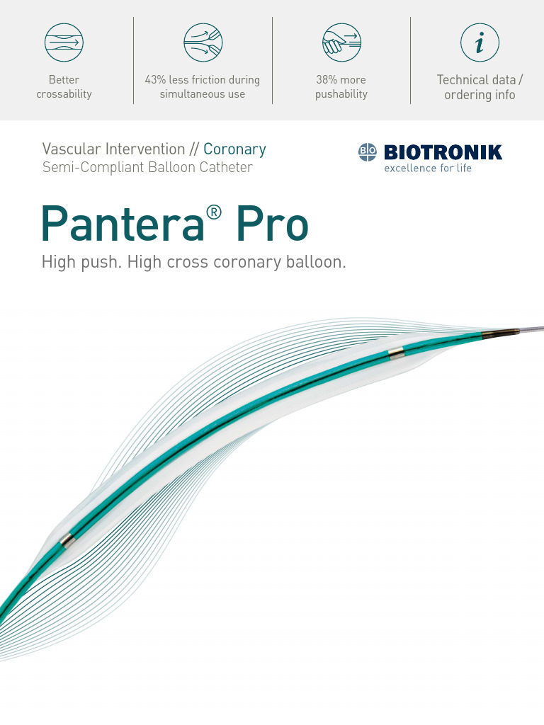 Pantera Pro Brochure 413275 D EN Feb 2023 DV | PDF | Catheter ...