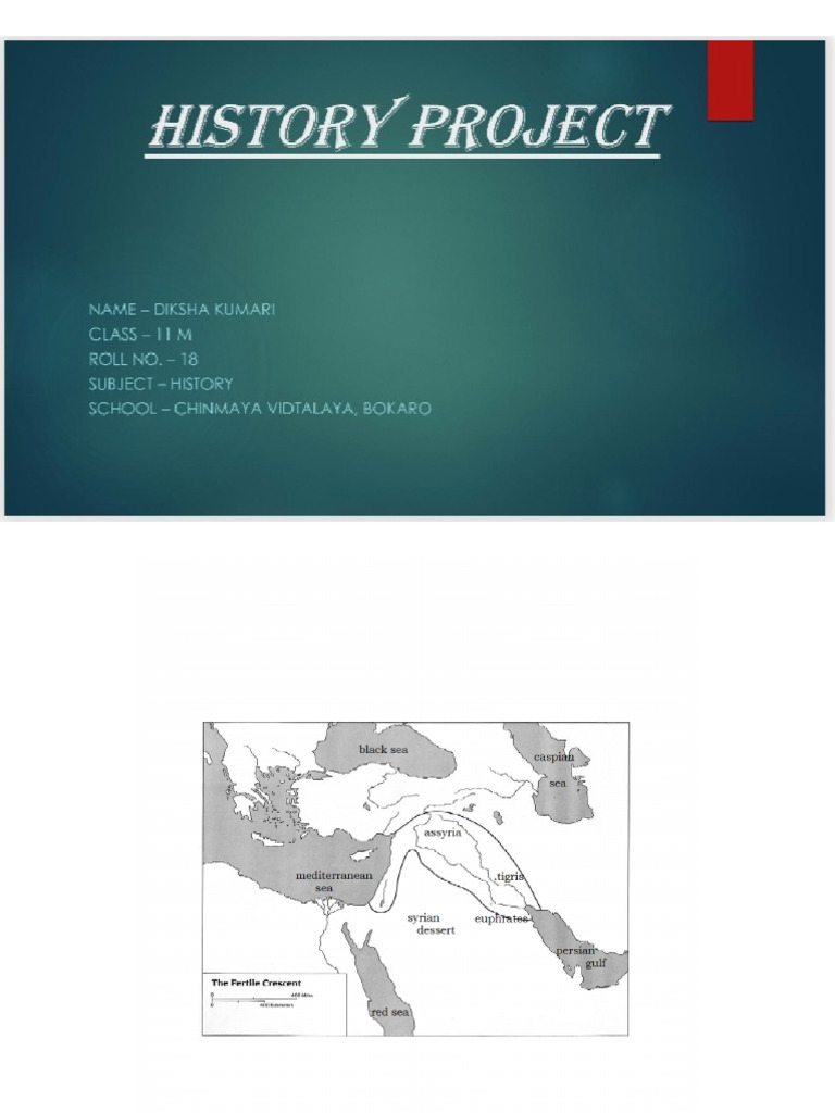 Diksha History Project | PDF