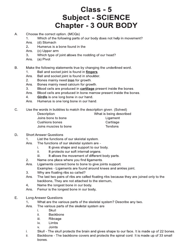 Class 5 Subject Science Chapter 3 Our Body 1 | PDF