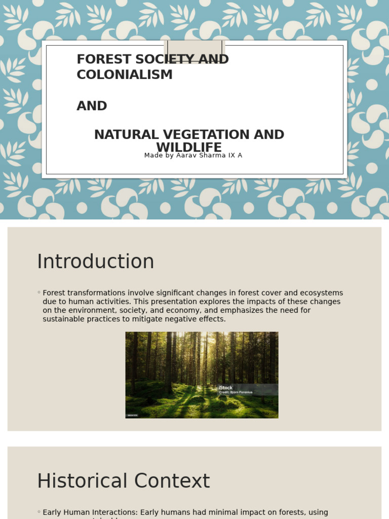 SST SEA by AARAV SHARMA | PDF