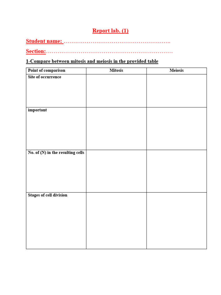 Lab Report (Cell Division and Biology) 2 | PDF